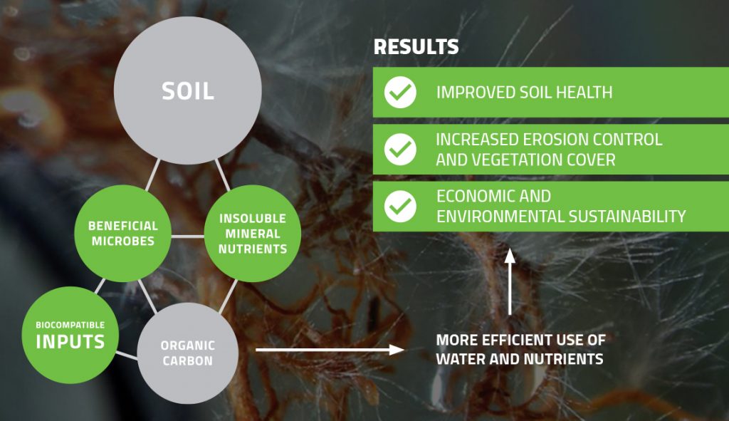 BioGrowth-Diagram - EnviroStraw