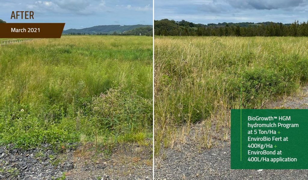 Pacific Complete hard stand rehab project - EnviroStraw