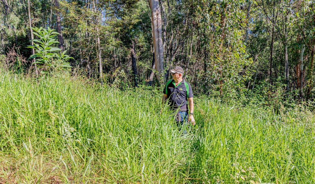 Reduce, restore, revegetate: how to save time and money on your next ...