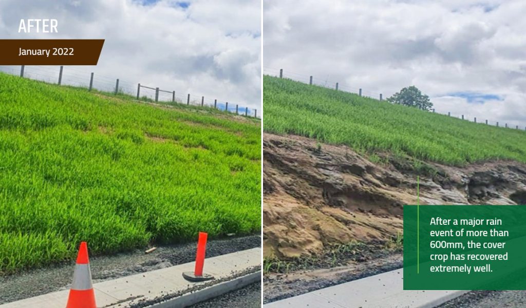 Tabulam Roadside Revegetation Project