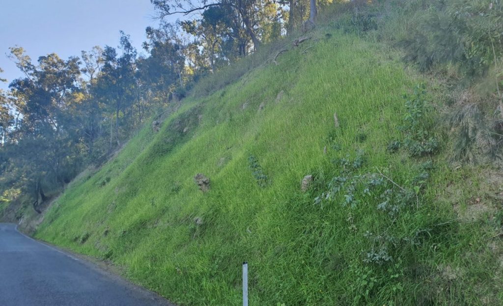 4 revegetation products that give you a competitive edge