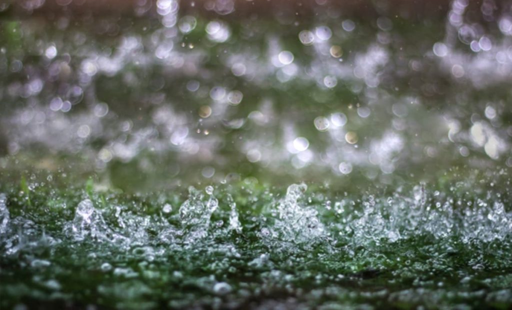 ES-rain-soil-01 - EnviroStraw