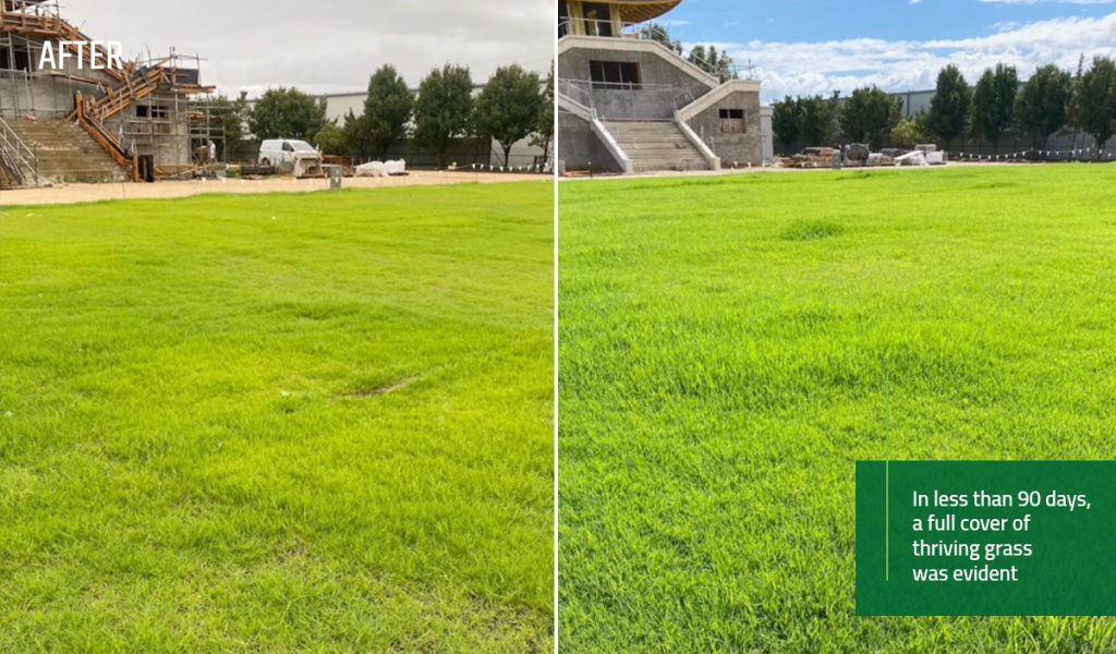 Adelaide Temple Project