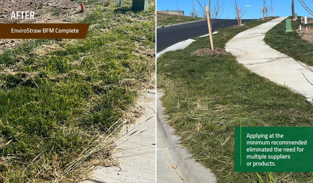 Canberra Roadside Revegetation Project