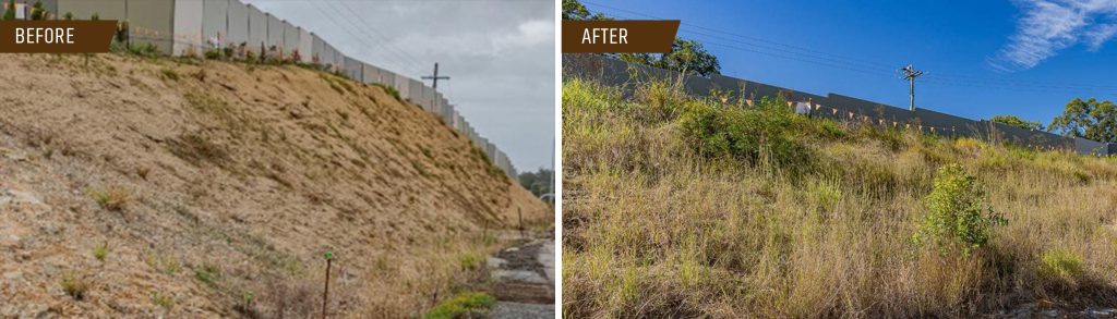 Before_After - EnviroStraw